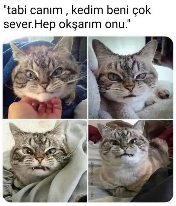 13 - 19 Ocak 2025 Haftalık Burç Yorumları | Kadınlar Kulübü - Kadın Sitesi